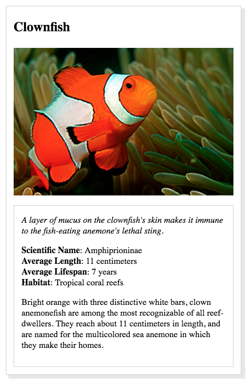 GitHub - guglio/fend-animal-trading-cards: Trading card project for ...